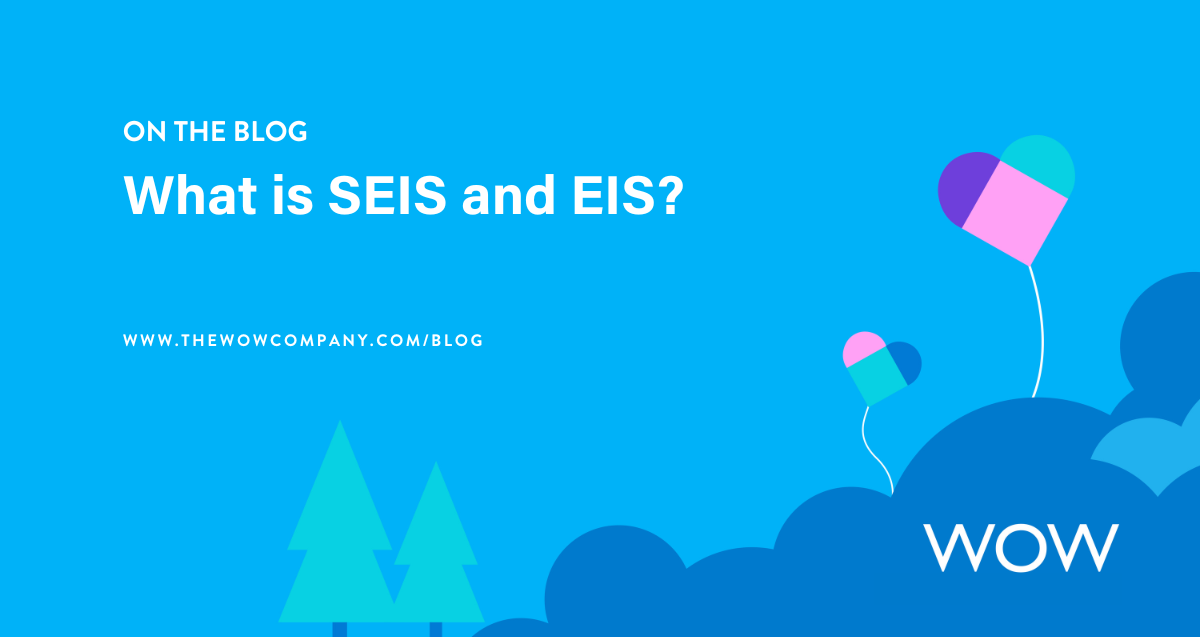 What is Seed Enterprise Investment Scheme (SEIS) and Enterprise ...